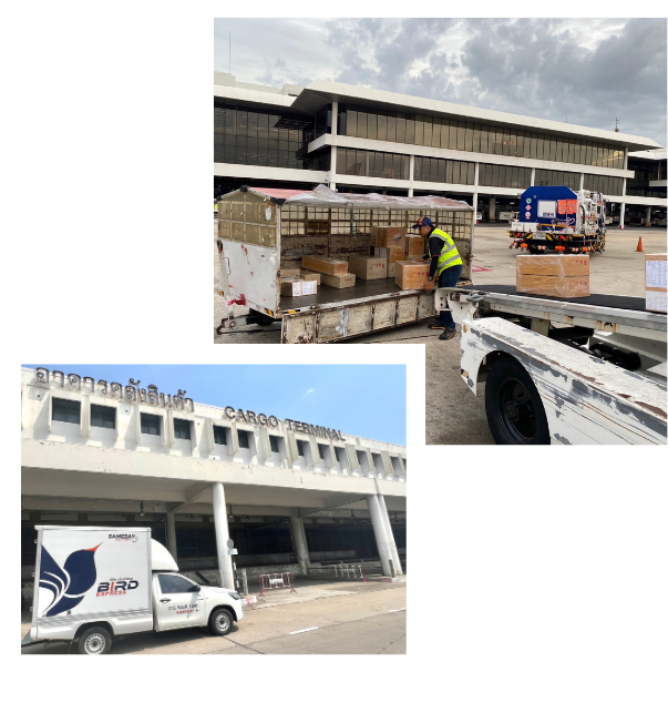 BIRD Express Logistics