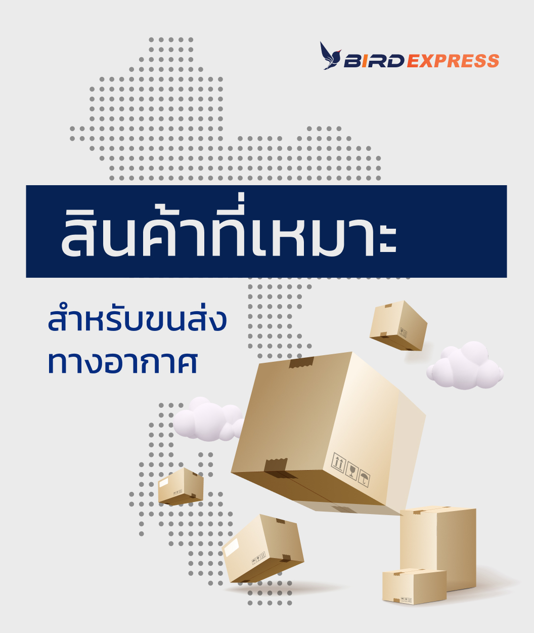 ทำความรู้จักกับ Bird Express | BIRD Express Logistics Co.,Ltd.